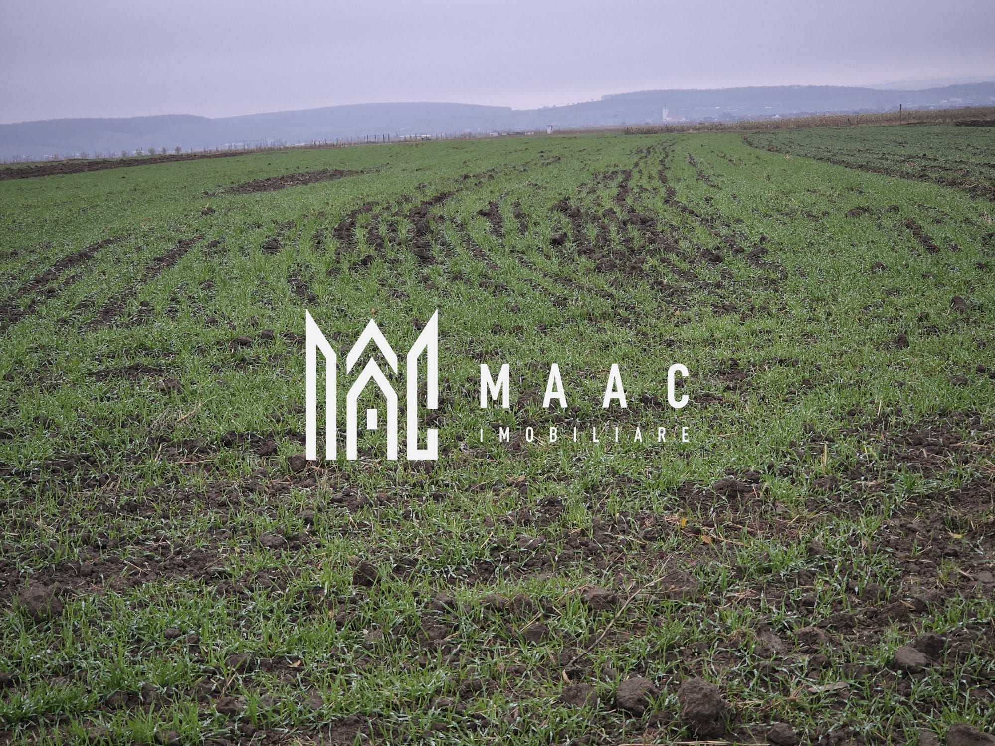 Out-of-town land | The Mouth of the River | 2250 MP - Gura Raului ...