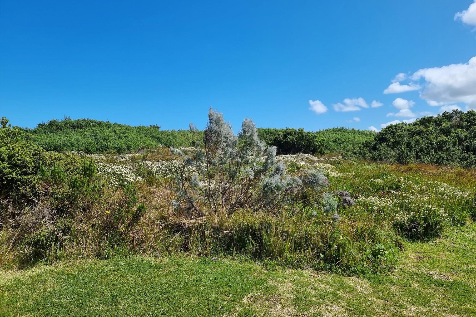 6 Kingbarns Close, St Francis Links, St Francis Bay, Eastern Cape, 6312 ...