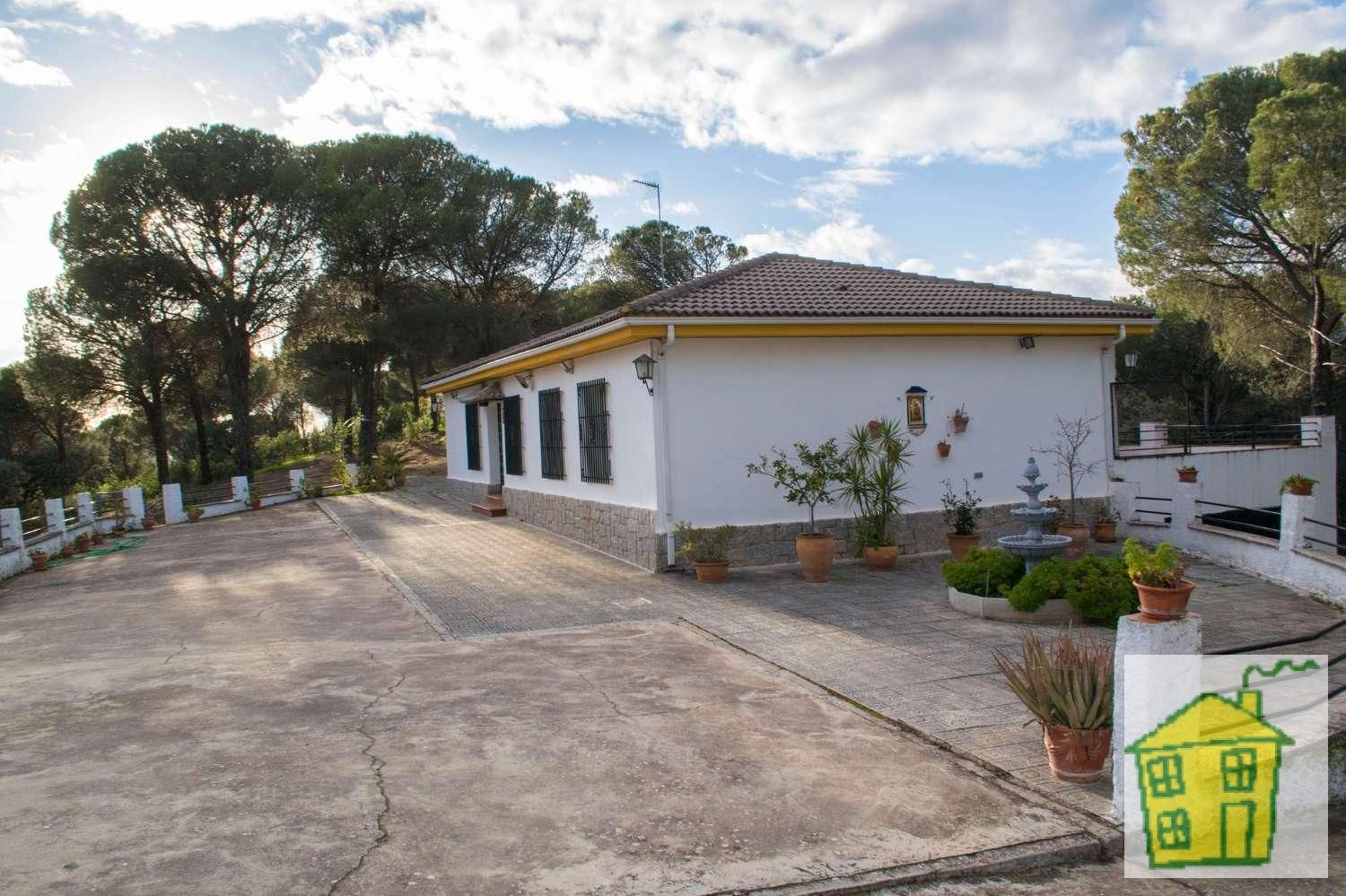 1 House with Sea view for Sale in Llanos del Sotillo | Properstar