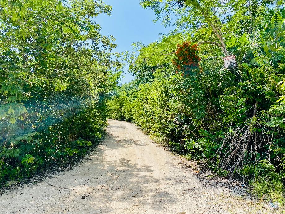 Calle 14 sur, 77760 Tulum - Terrain 1 chambre à vendre - Properstar