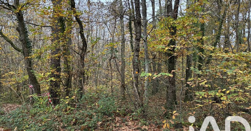 27 Propriétés à vendre - Azay-le-Ferron | Properstar CH