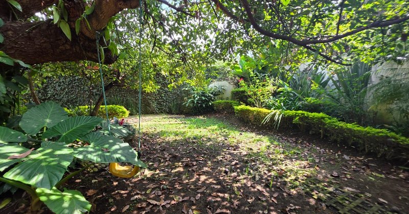 1 Pisos y casas en alquiler en 60050 Uruapan | Properstar ES