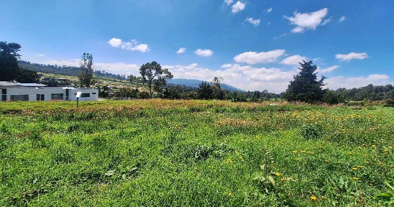 119 Furnished Properties for Sale in Las Mercedes | Properstar