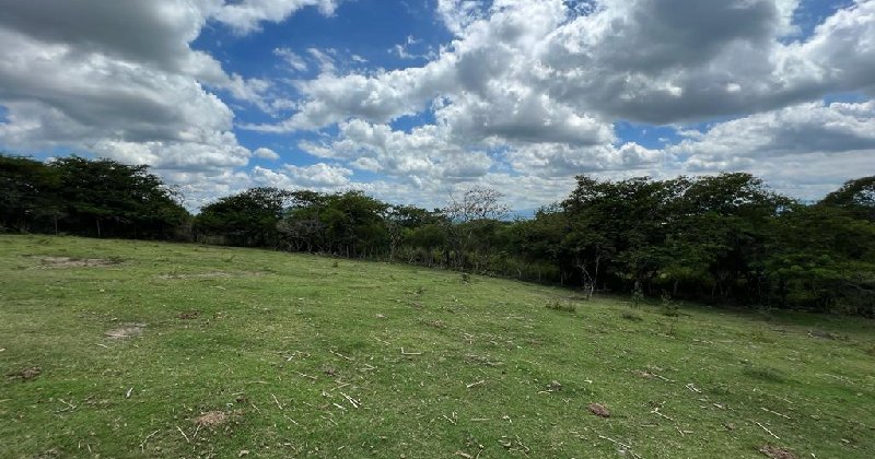 64 Properties for Sale in El Chico | Properstar