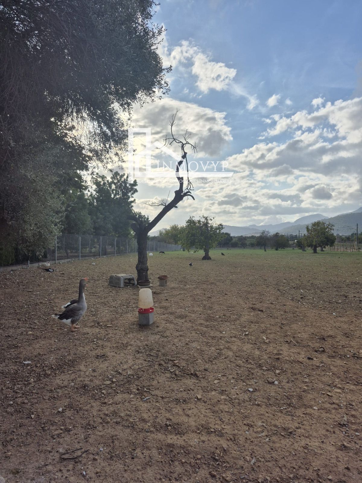 07300 Inca - House for sale - Properstar