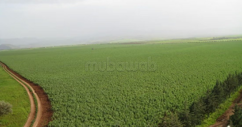 1 Wohnungen und Häuser zum Verkauf - Taza Province | Properstar DE