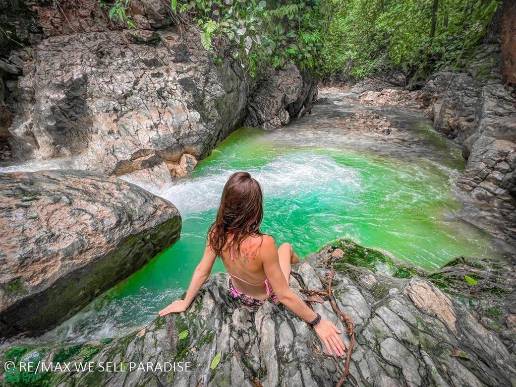 Finca BellaVista: An Immersive Experience in the Costa Rican Rainforest ...