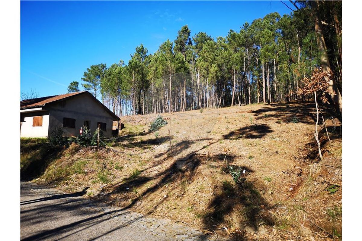 Land for sale in Celorico de Basto - Braga, Celorico de Basto, Agilde ...