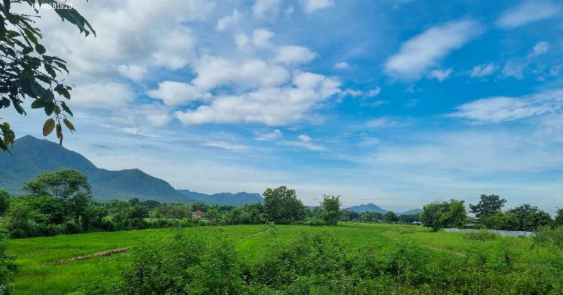 1 Cheap Land Plot for Sale in Ban Sa Ha Khon | Properstar