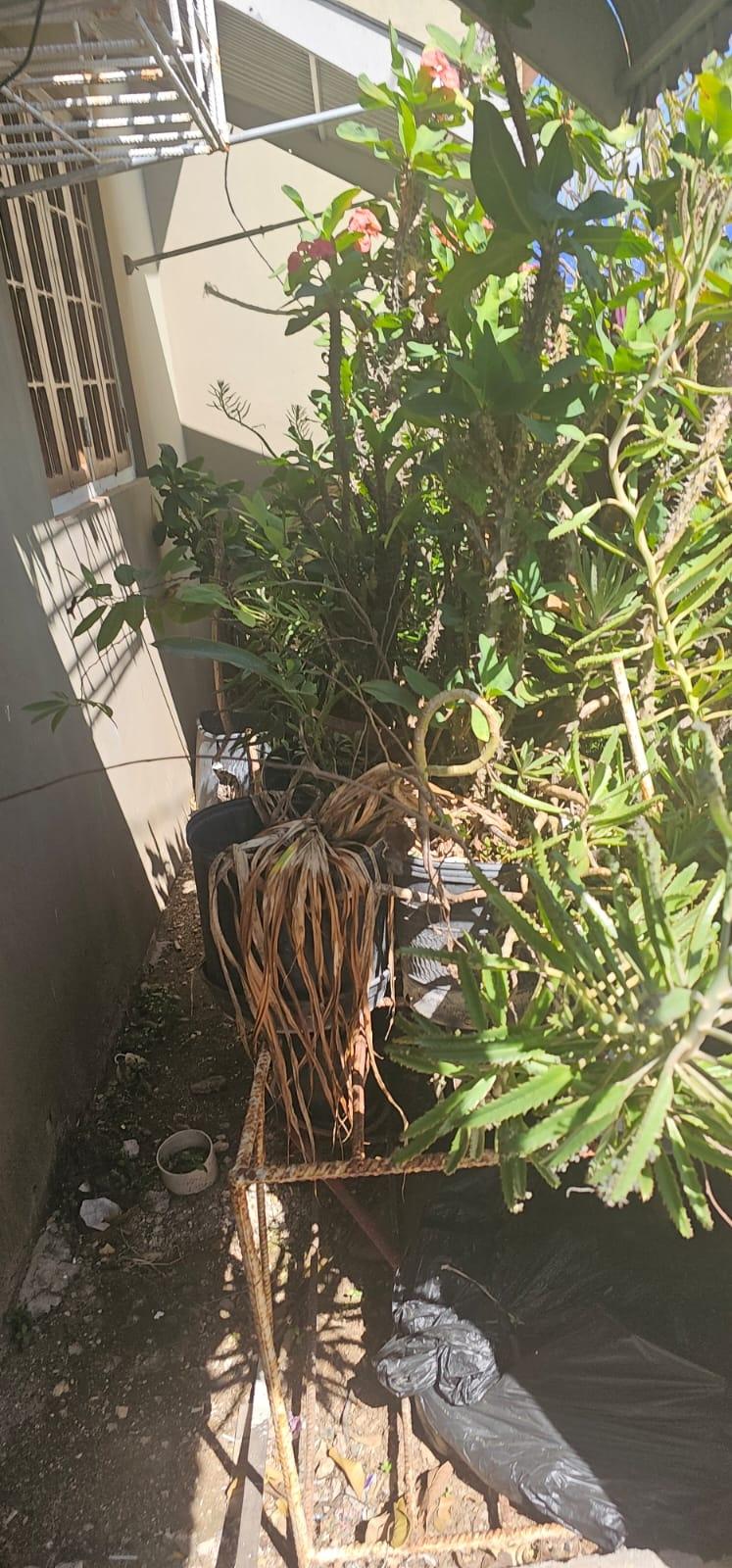 Kingfish Road, Kingston 11 - 3 beds apartment for sale - Properstar