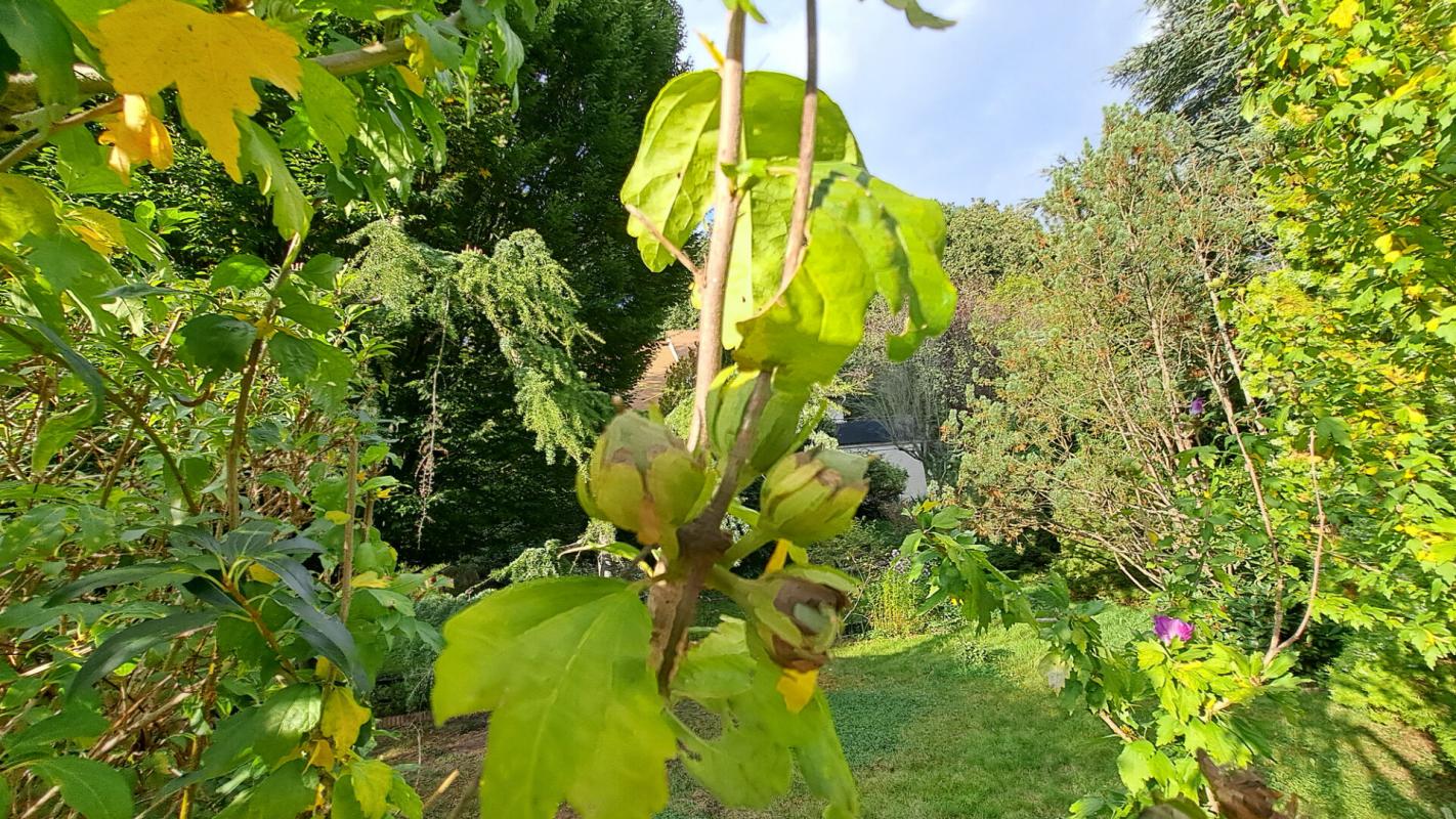 Plot of land Les Essarts Le Roi 652 m2 - 78690 Les Essarts Le Roi ...