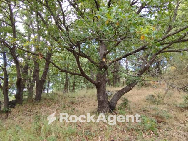 Strada Milia, 95033 Biancavilla - Building land for sale - Properstar