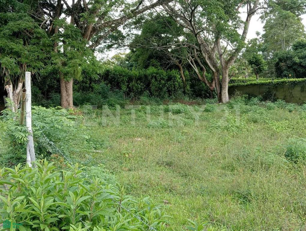 CORNER LOT FOR SALE IN PANCE EXCELLENT INVESTMENT - calle 6 # 127-15 ...