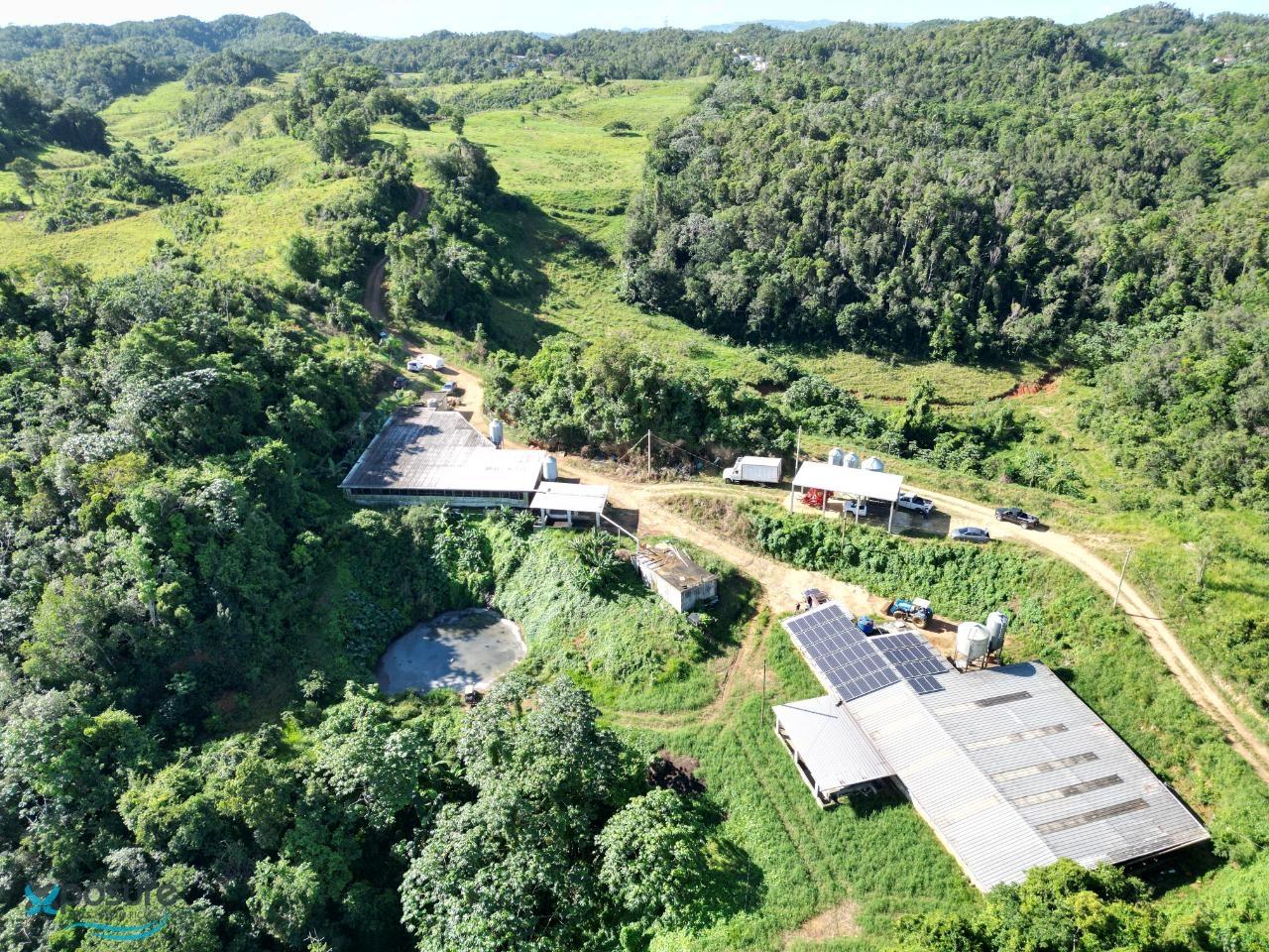 00676 Moca - Terrain à vendre - Properstar