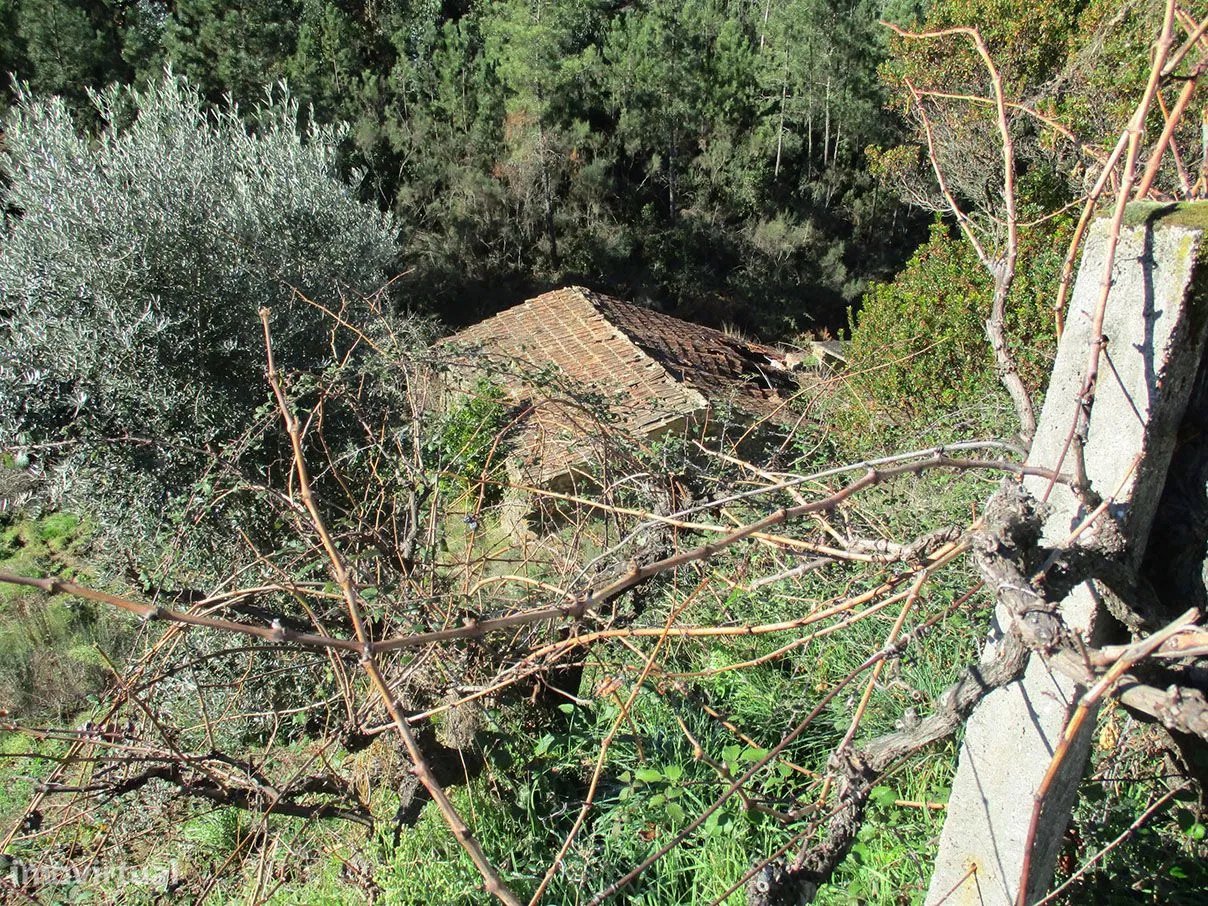 Castelo Branco, Janeiro De Cima E Bogas De Baixo - Plot for sale ...