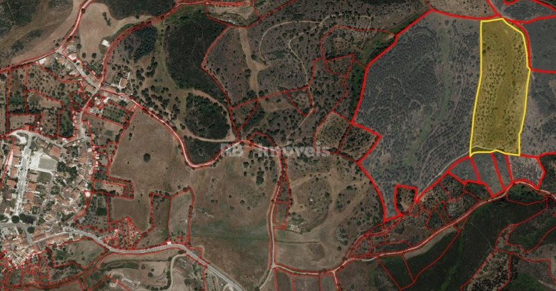 Gavião Agricultural exploitations for Sale - 2 Listings | Properstar