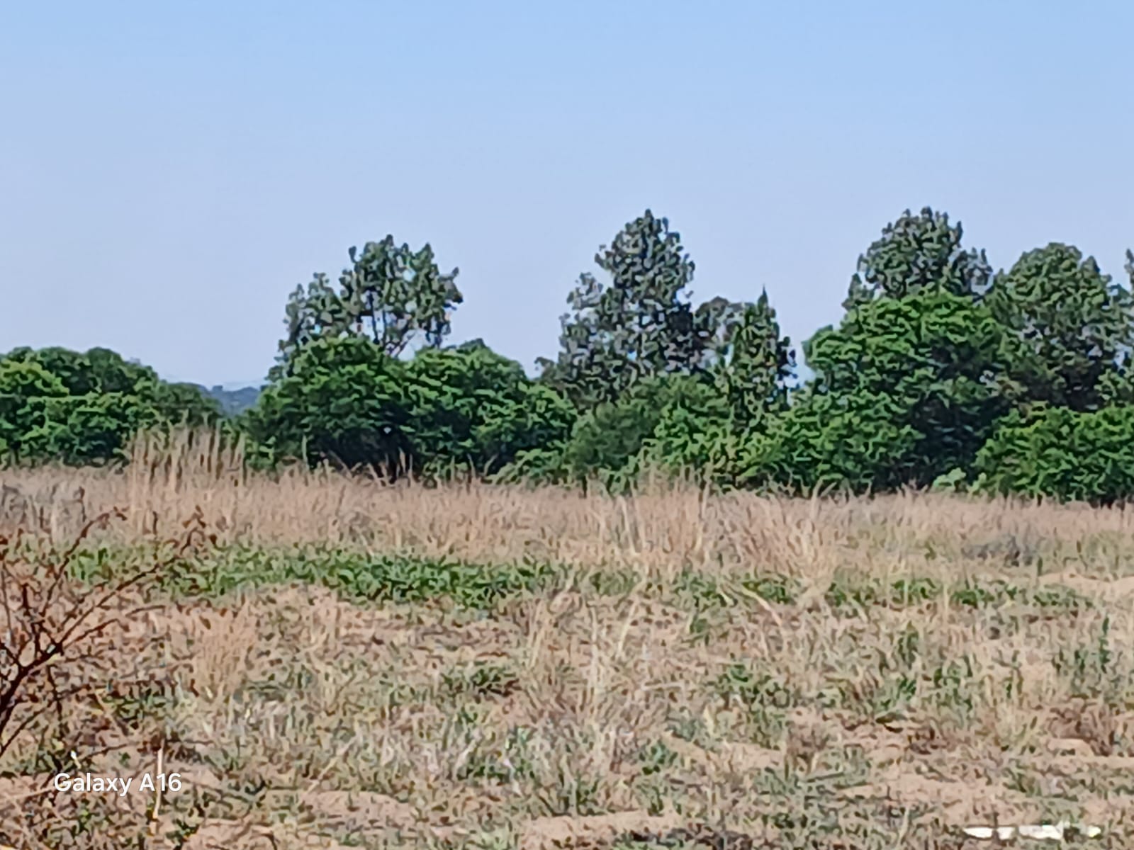 Stand massif 3587 m² à vendre à Vaalpark - 9570 Vaalpark, Sasolburg ...