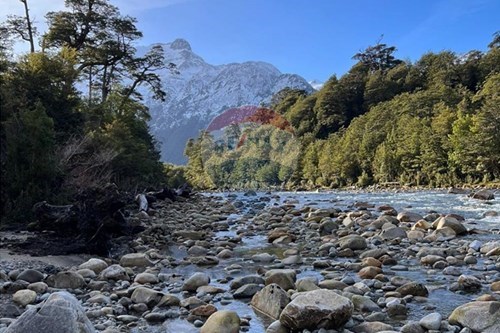 Lago Verde - Agricultural exploitation for sale - Properstar