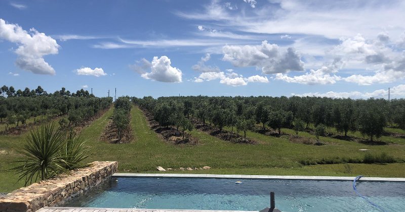 José Ignacio Properties for Rent - 7 Listings | Properstar