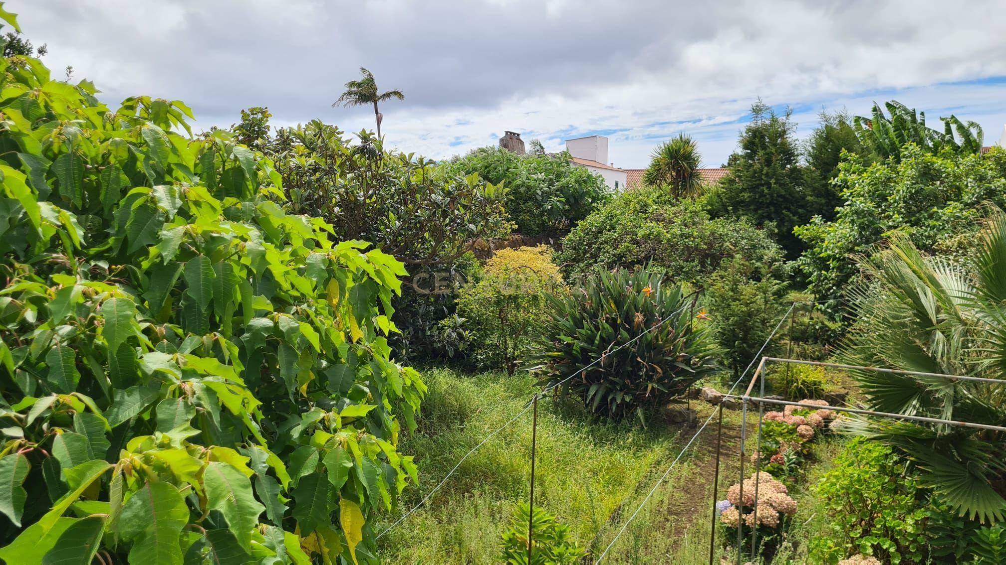 Moradia de estilo antigo com quintal no centro de Ponta Delgada - 4 ...