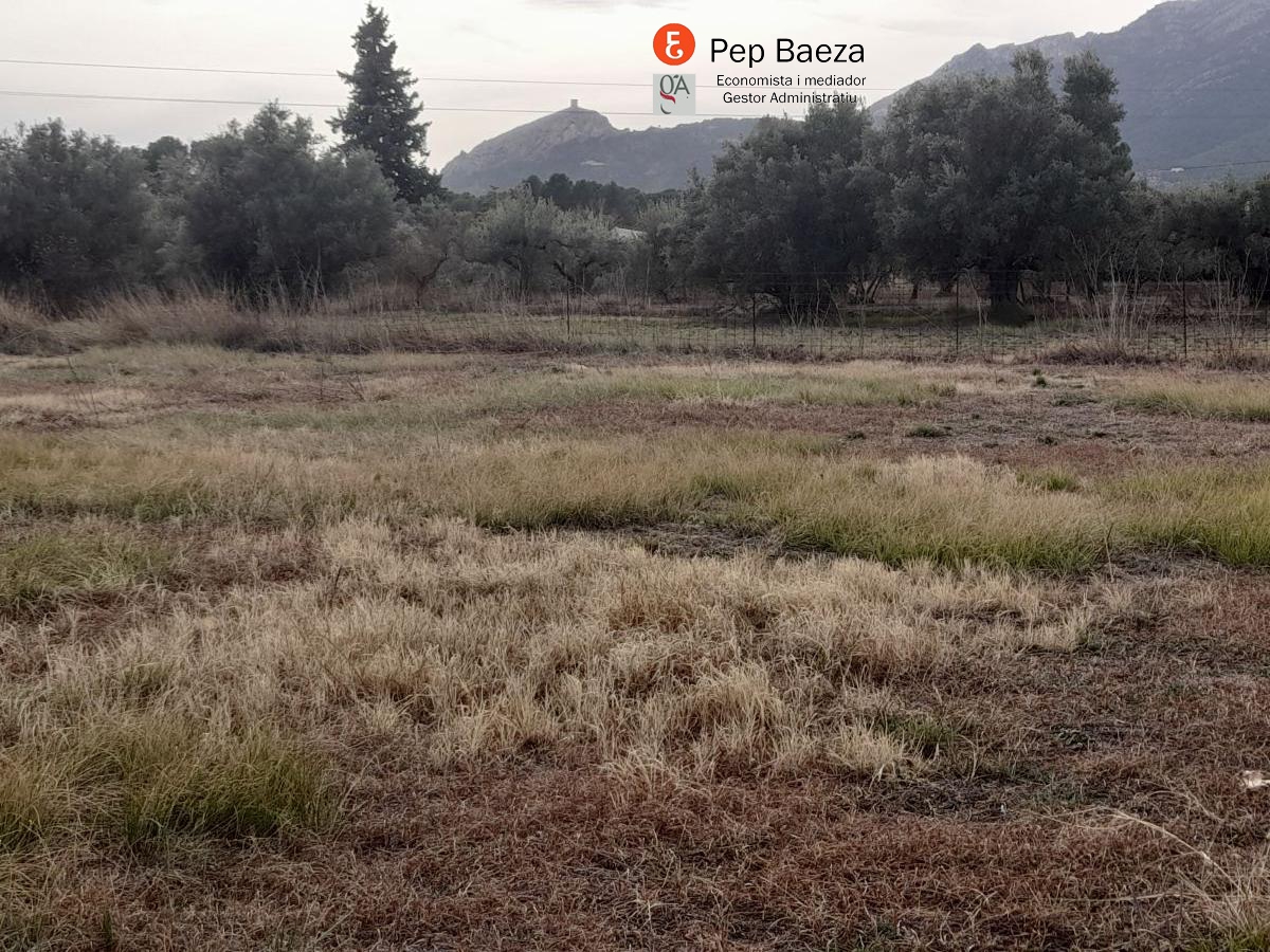 03830 Muro De Alcoy - House in village for sale - Properstar