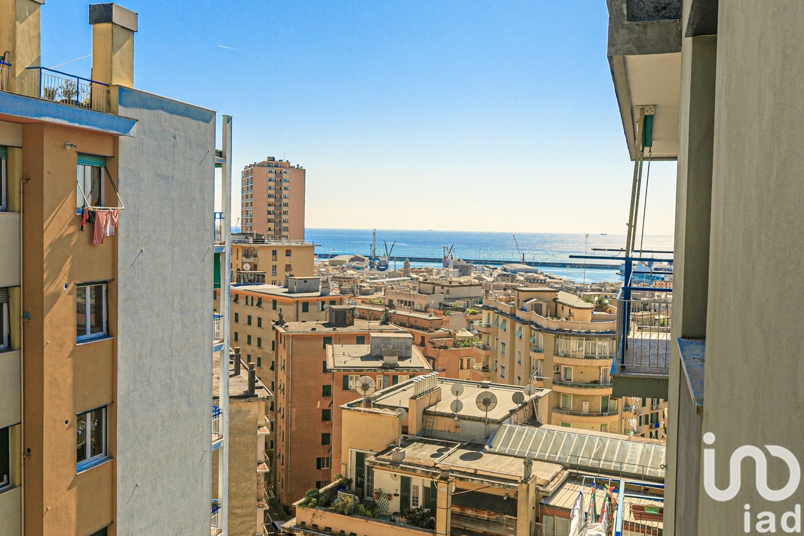 Massimo Paci - Properstar CH