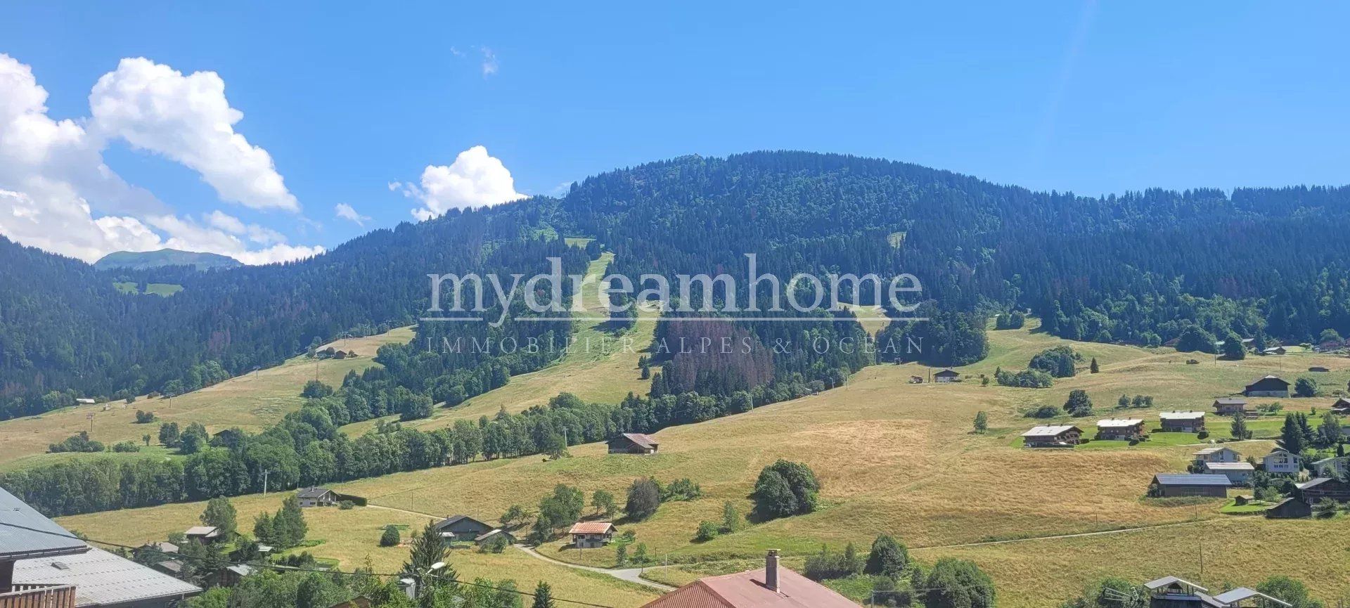 74120 PRAZ-SUR-ARLY - 11 beds house for sale - Properstar