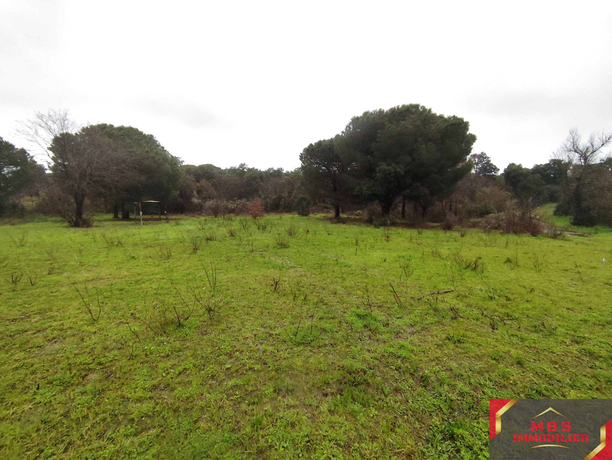 Argelès-Sur-Mer - Agricultural land 5200 m2 - 66700 Argelès-sur-Mer ...