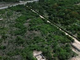 LAND FOR SALE 300MTS FROM THE PERIPHERAL OF MÉRIDA. - Yucatán, Mérida ...