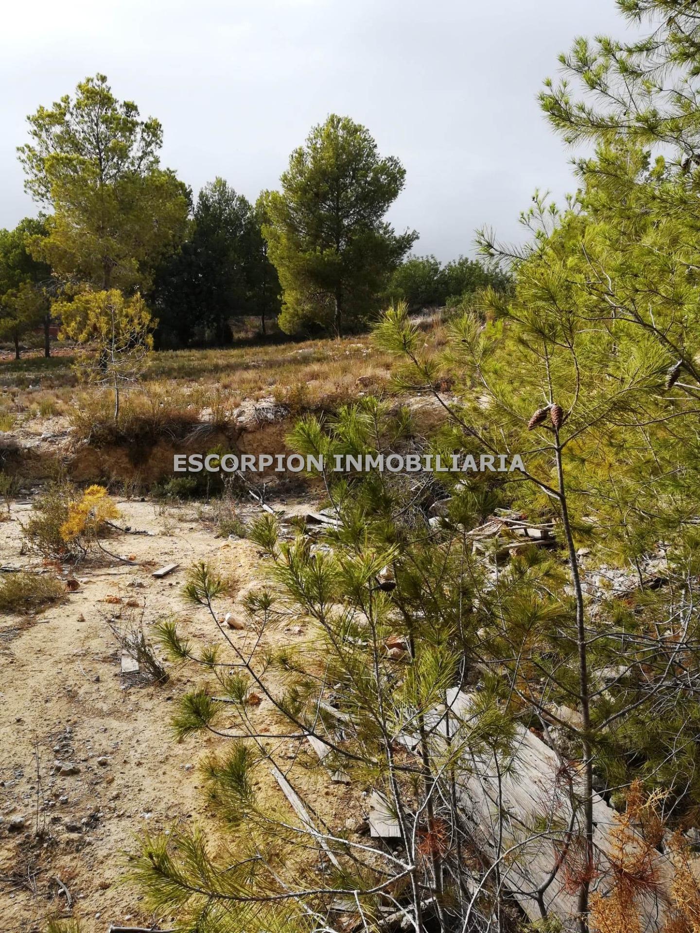 PLOT IN LA CAÑADA, PATERNA - 46182 Paterna - Plot for sale - Properstar