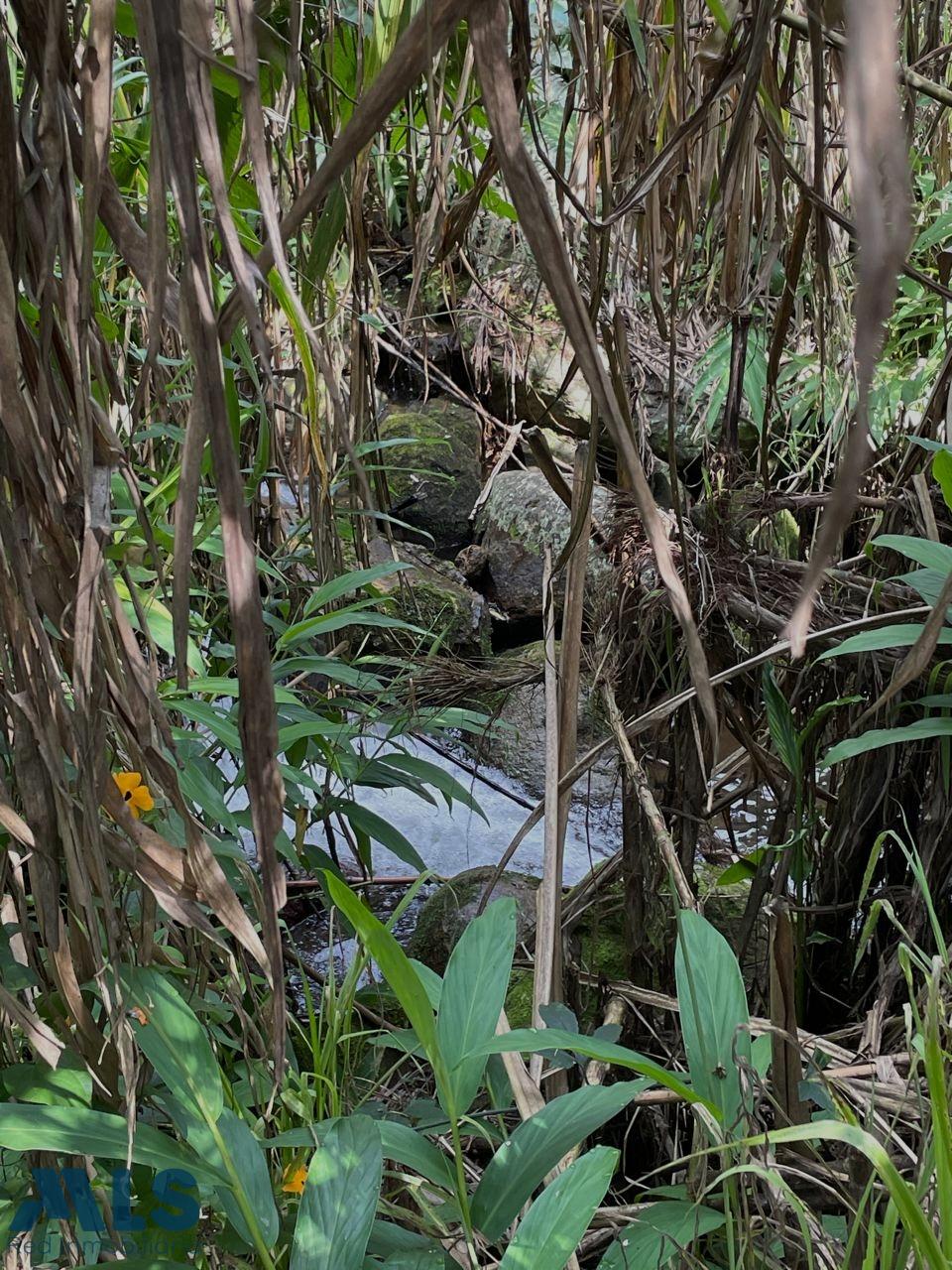 Spectacular suburban lot in Tamesis. - Támesis - Plot of land for sale ...