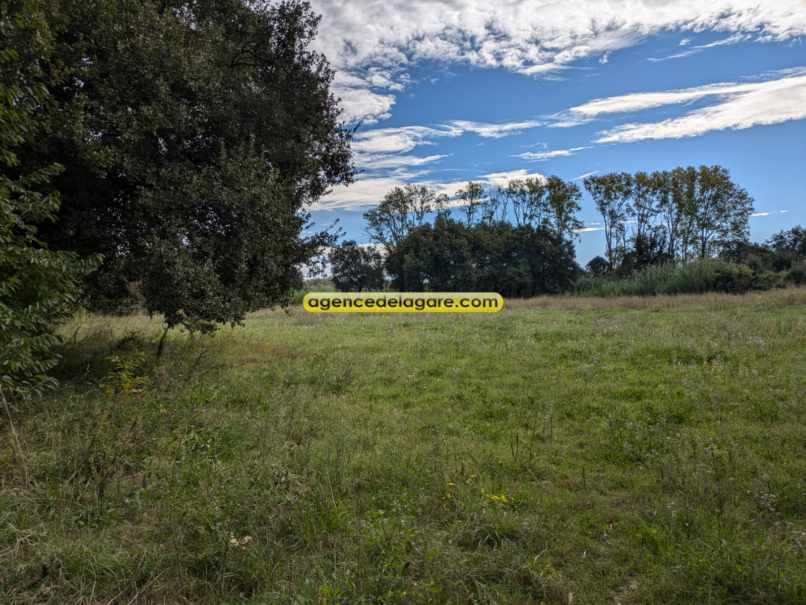 Flat agricultural land. - 66700 Argelès-sur-Mer - Agricultural ...