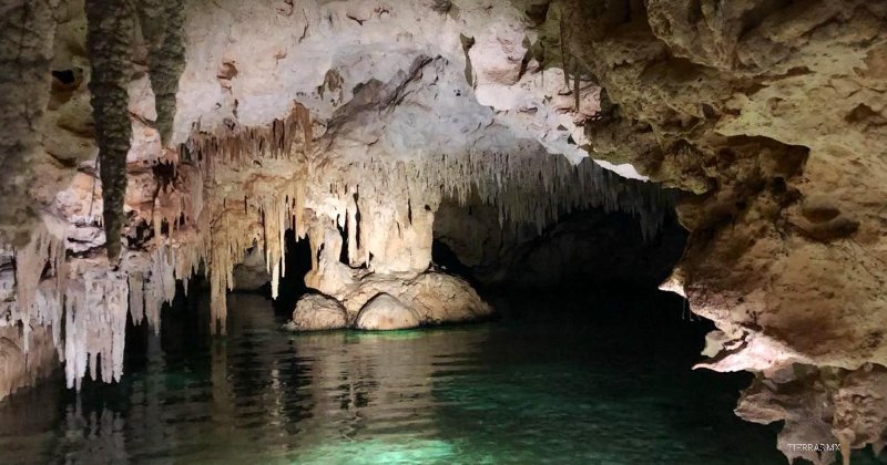 1 Land Plot with Forest view for Sale in Quintana Roo | Properstar