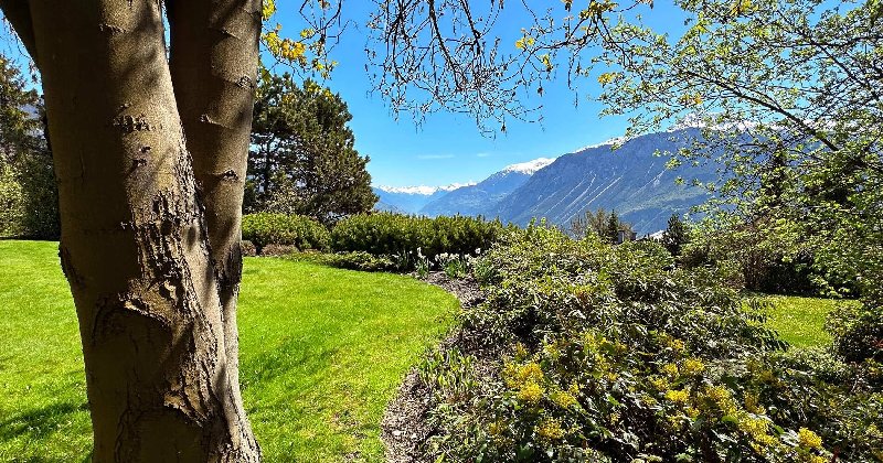 1 Apartment and House with Garden view for Sale in 3974 Crans-Montana ...