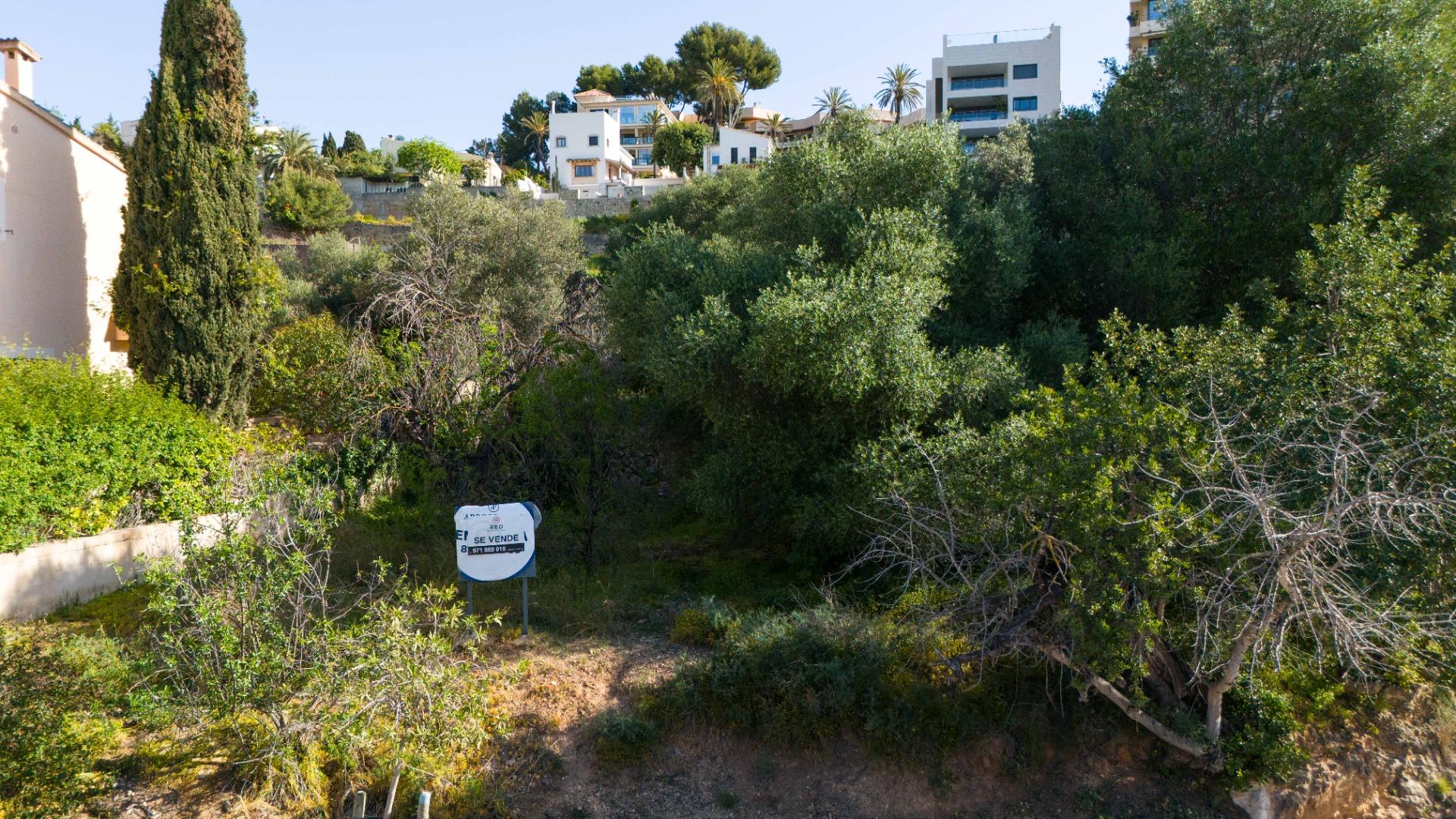 07015 Palma de Mallorca - Building land for sale - Properstar