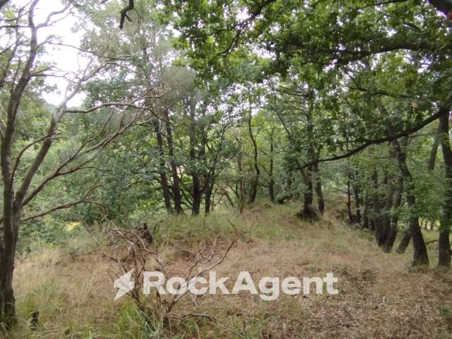 Strada Milia, 95033 Biancavilla - Building land for sale - Properstar