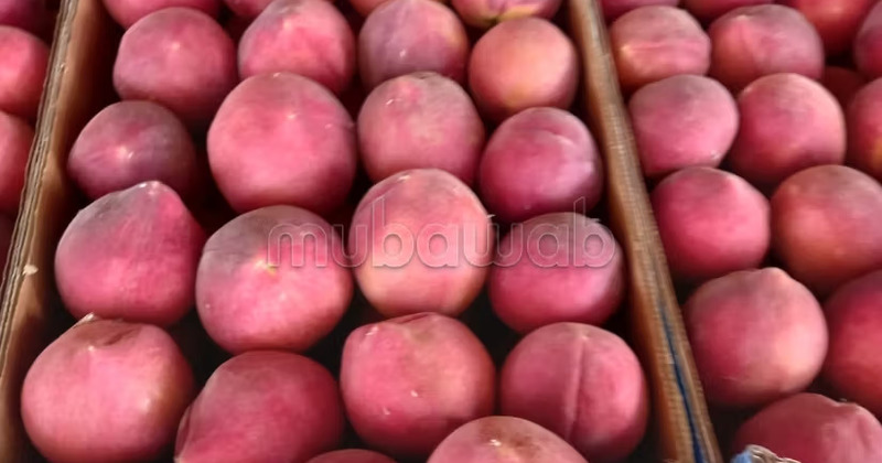 1 Appartement et maison à vendre - Province de Taounate | Properstar FR