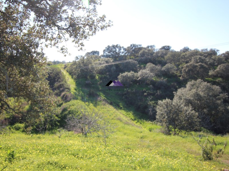 Rustic Land | 34,000 m² | Corga da Madeira - Junqueira, Castro Marim ...