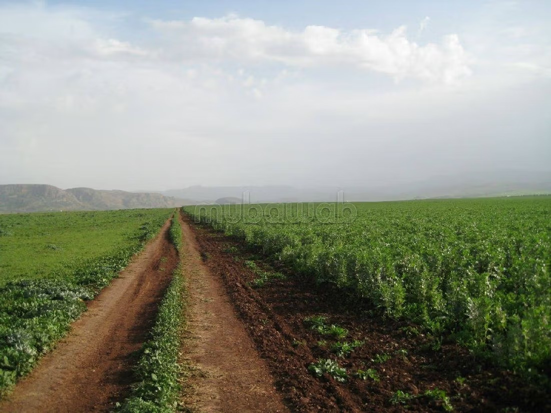 1 Wohnungen und Häuser zum Verkauf - Taza Province | Properstar DE