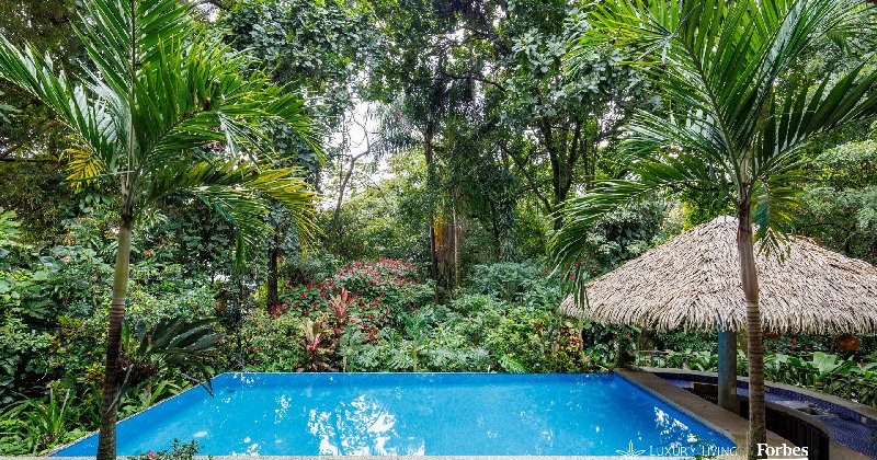 5 Houses with Forest view for Sale in Santa Ana | Properstar