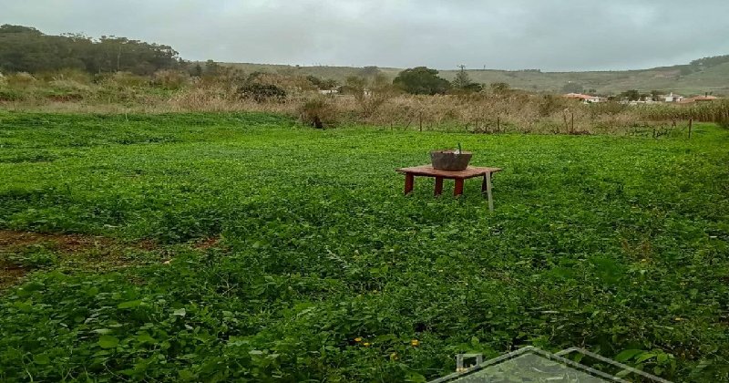 41 Häuser kaufen - Flughafen Teneriffa Nord | Properstar CH