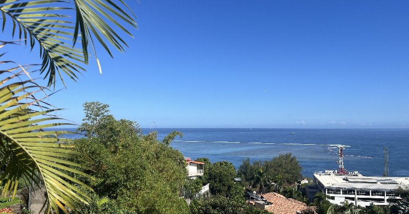 21 Wohnungen mit Seeblick zum Verkauf in Windward Islands | Properstar DE