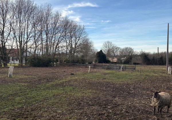 5 Building lands for Sale in Nontron | Properstar