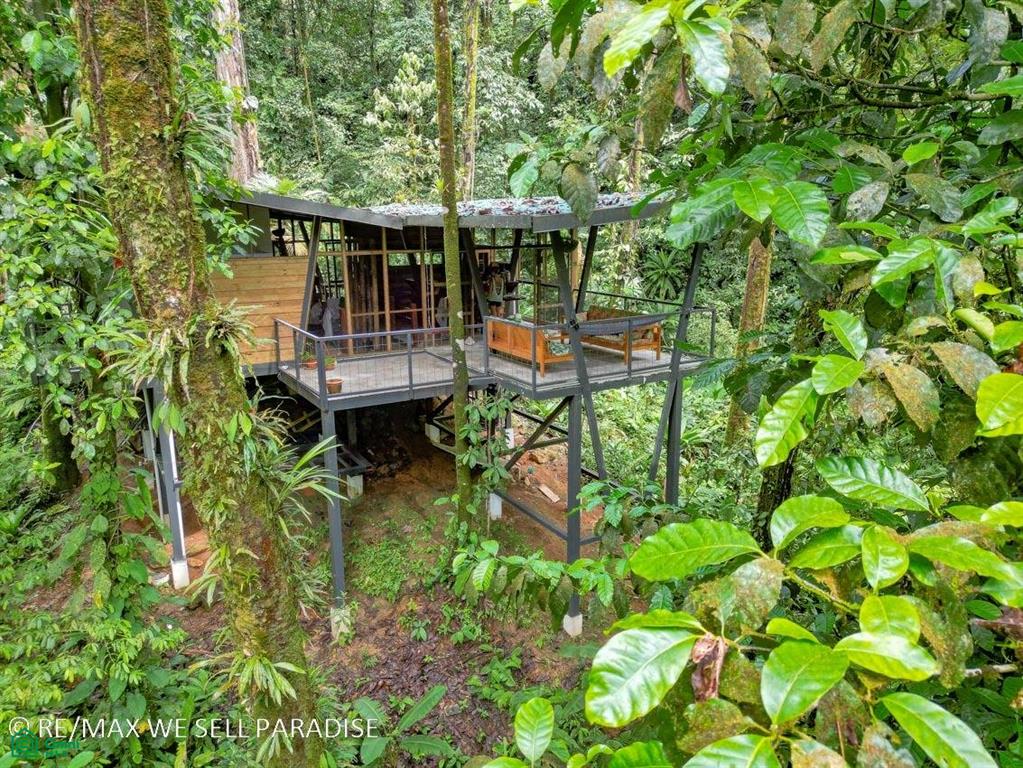 Finca BellaVista: An Immersive Experience in the Costa Rican Rainforest ...