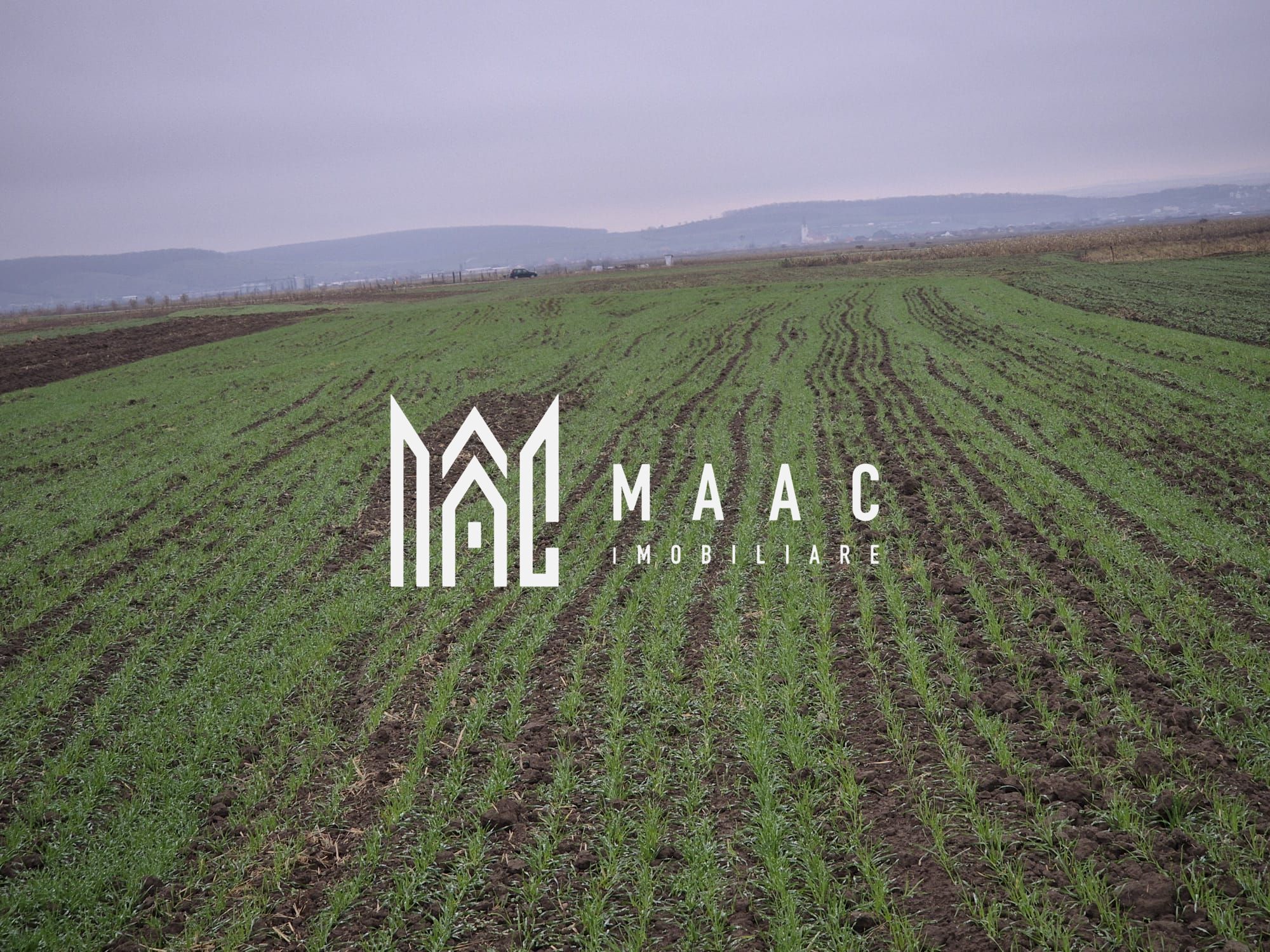 Out-of-town land | The Mouth of the River | 2250 MP - Gura Raului ...