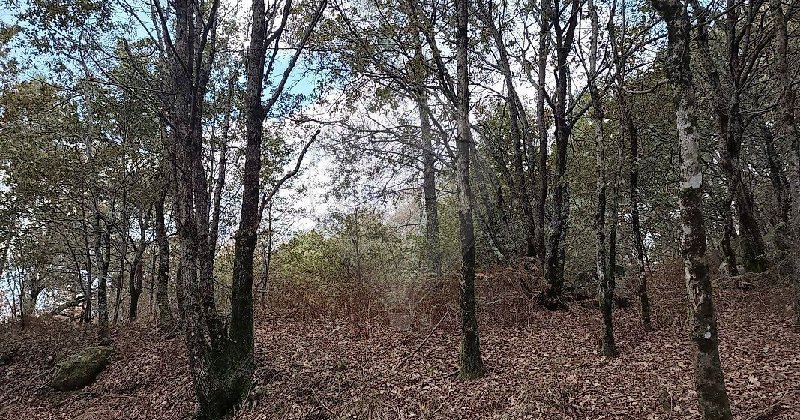 64 Land Plots for Sale in Ourilhe | Properstar