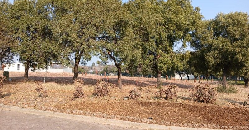 Lassen Sie uns Ihre Traumimmobilie für Sie finden. - Vaal Marina ...