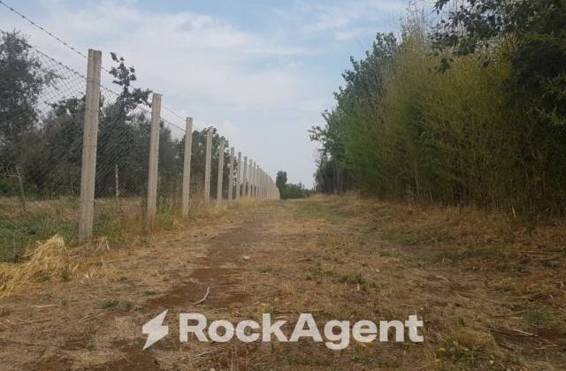 74 Bauland zum Verkauf - Latium | Properstar