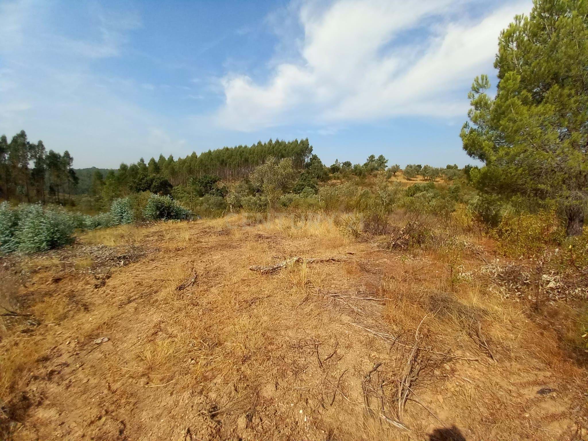 Charming Countryside Retreat with Panoramic Views in Ad3, Ad2 - Lardosa ...