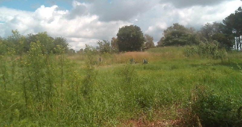 1 Maison à vendre à petit prix - 1700 Randburg | Properstar